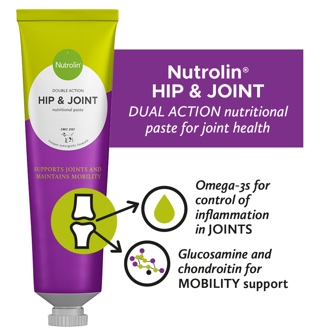 Nutrolin® HIP & JOINT omega-3 paste for dogs and cats