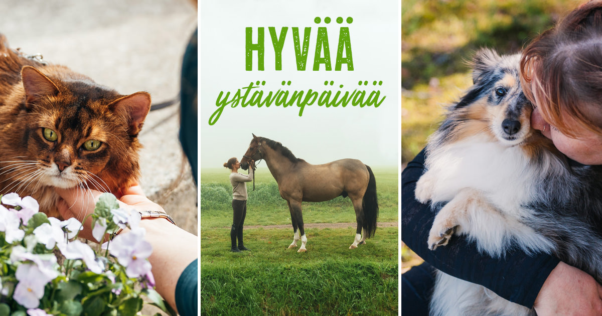 Celebrating Friendship on Finnish Valentine's Day - Nutrolin®